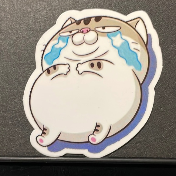 Design | Crying Cat Sticker | Poshmark